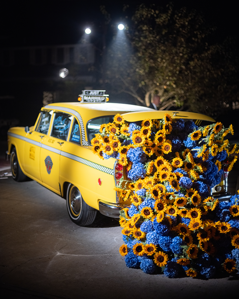 Coastal Charm on the Cape - TPD Design House