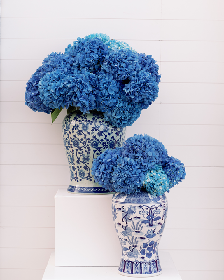 Coastal Charm on the Cape - TPD Design House