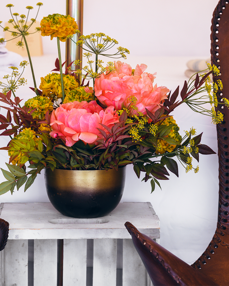 Projects Archive - TPD Design House