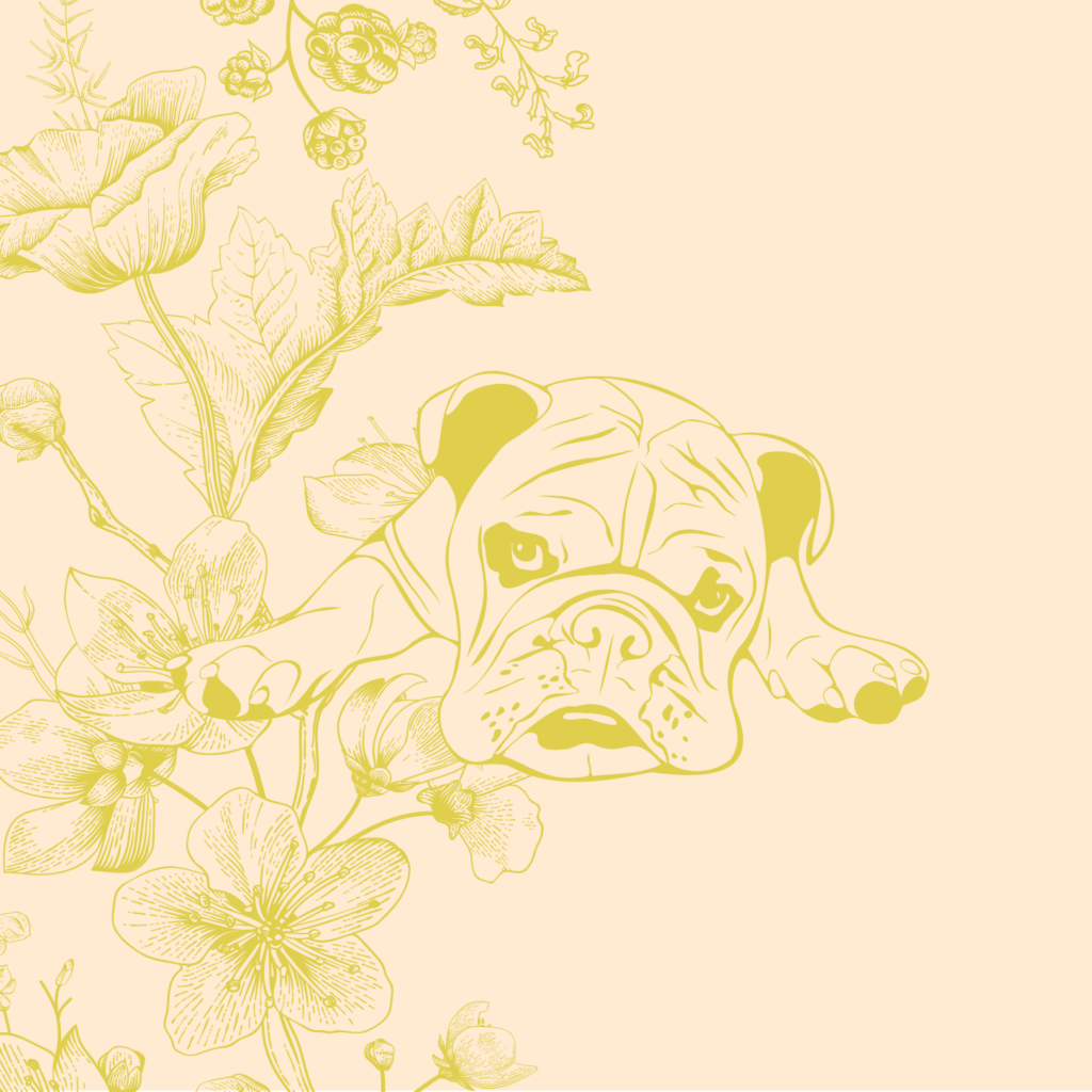 A Vibrant Blending of Traditions - TPD Design House